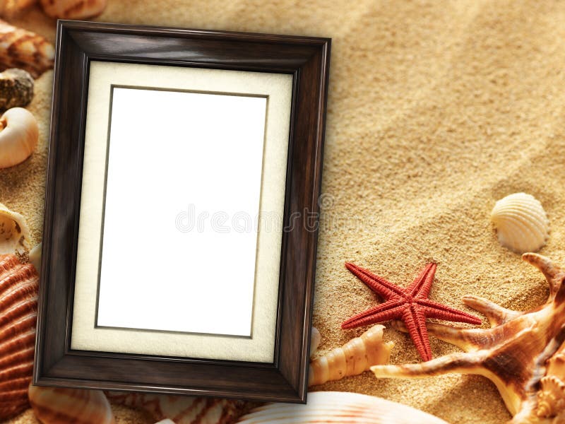 Shells on the sand stock photo. Image of shells, shell - 17286490