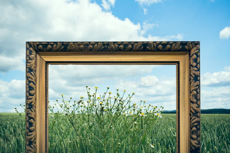 Frames from nature stock image. Image of natural, living - 177121339