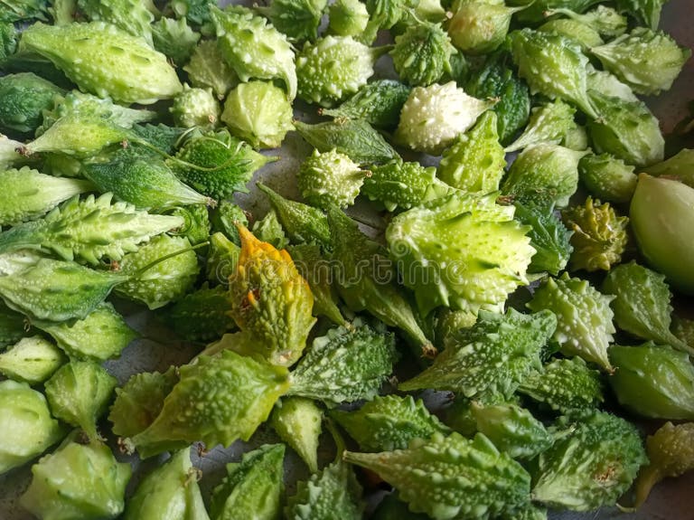 327 Fresh Bitter Guard Stock Photos - Free & Royalty-Free Stock Photos ...