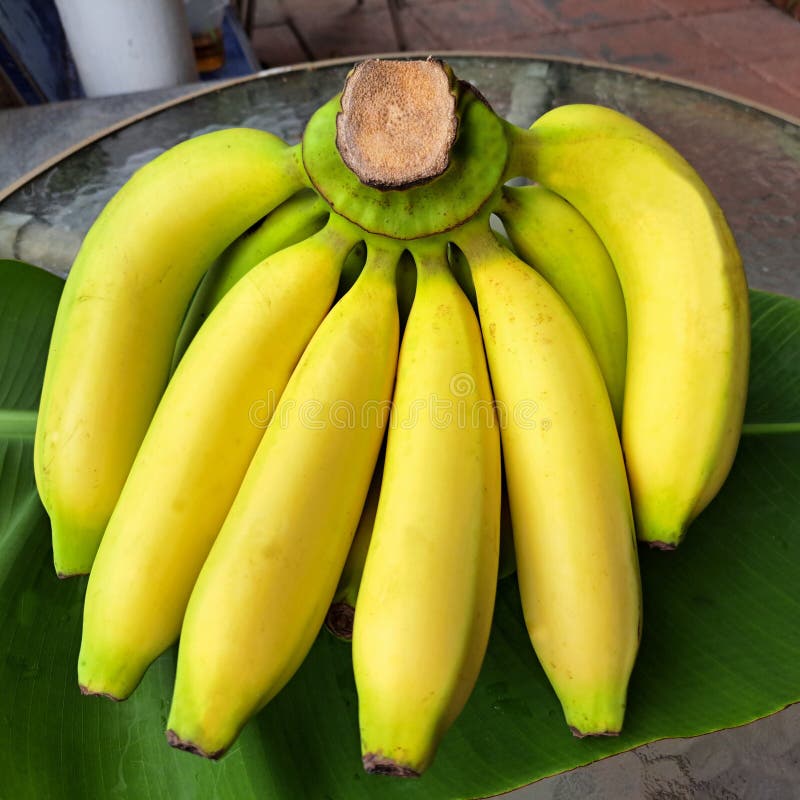 Picture of Fruit: Bananas Placed on the Table Stock Photo - Image of ...