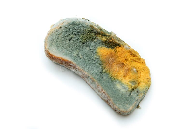 The Picture Of A Fully Mouldy Bread Stock Photo - Image of bread ...