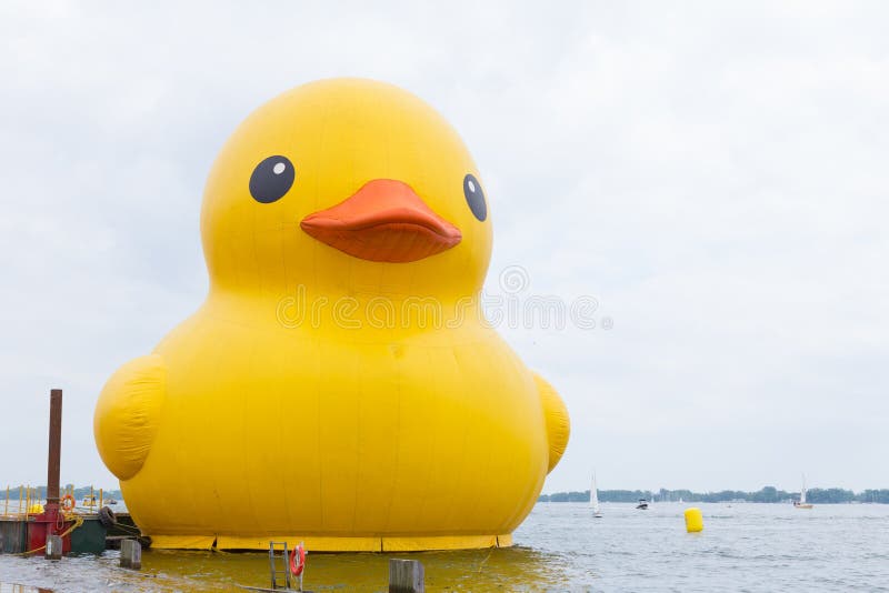 Giant Rubber Duck stock photo. Image of landmark, outdoor - 159706916