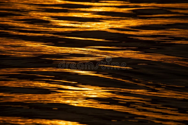 The Picture of the Golden Sea Water Surface Reflecting the Sunlight ...