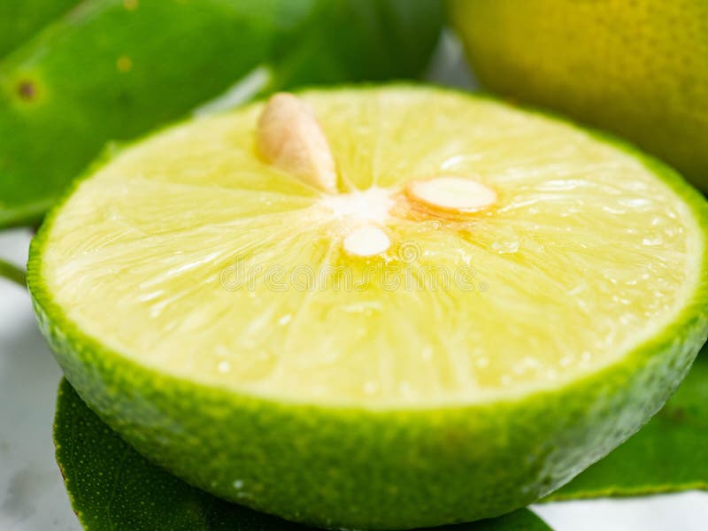 Picture of Green Citrus with Leafs on a White Isolated Background Stock ...