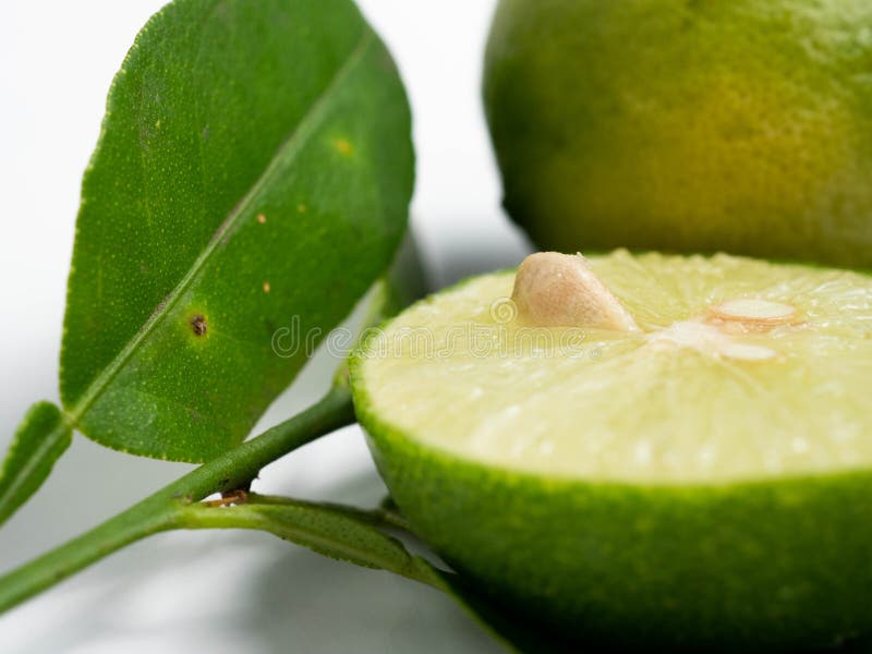 Picture of Green Citrus with Leafs on a White Isolated Background Stock ...