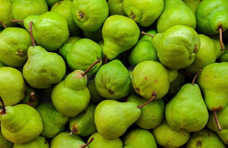 Picture of a Group of Green Pears Stock Photo - Image of closeup ...