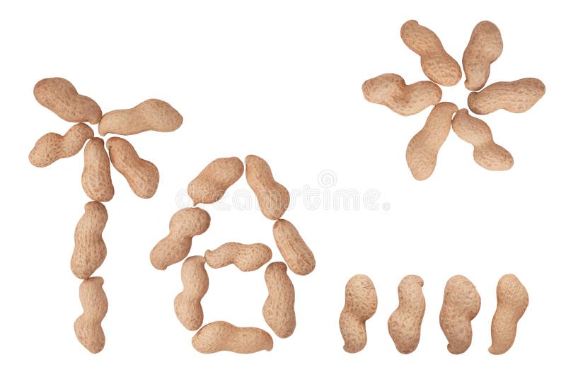 A Picture from the Grungenuts Stock Image - Image of nuts, nutshell ...