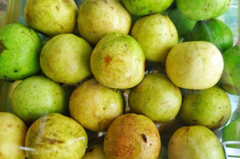 A Picture of Guavas Fruit on Display Stock Image - Image of flower ...