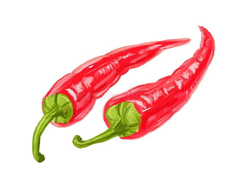 Picture of hot peppers stock vector. Illustration of draw - 53748700