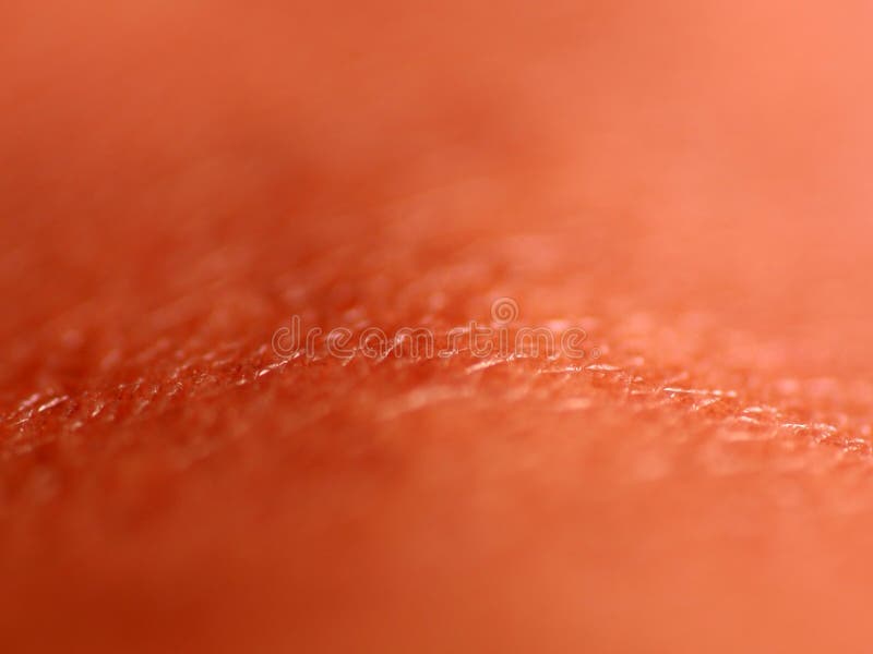 Close Up Shot of Human Skin Surface Stock Photo - Image of closeup ...