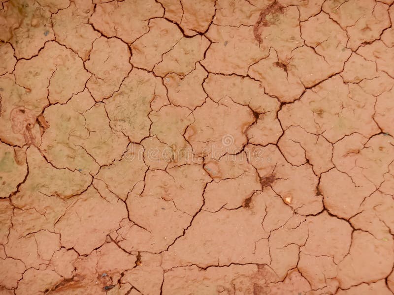 A Picture Indicating Drought Stock Photo - Image of drought, wood ...