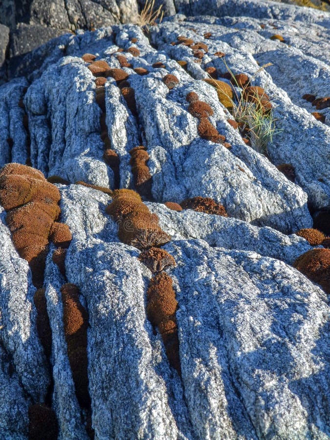 Picture with an Interesting Stone Texture Stock Image - Image of ...