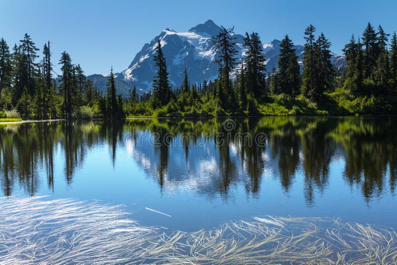 Picture Lake in Seattle in Washington Stock Image - Image of blue ...