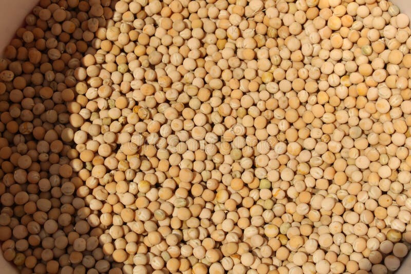 It is the Picture of Many Beans. Stock Photo - Image of cooked, grains ...