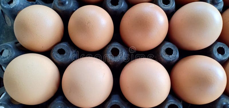 Picture many eggs stock image. Image of macro, rough - 129896223