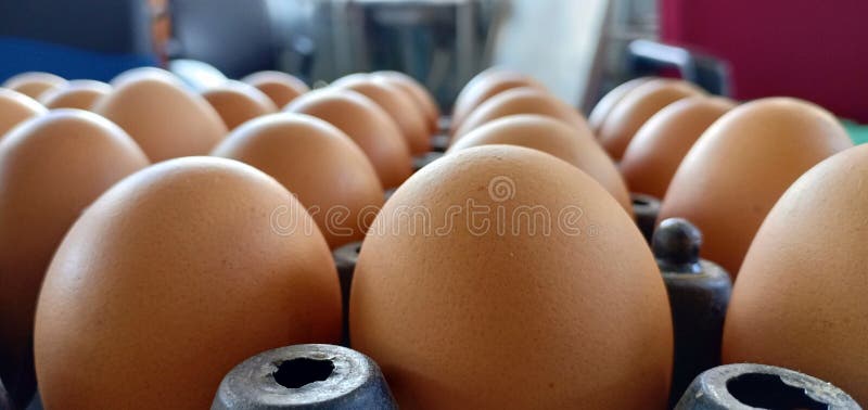 Picture many eggs stock image. Image of food, chicken - 129909975