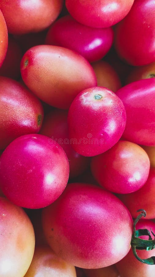 The Picture of Many Tomatoes that are Overlapping. Stock Image - Image ...