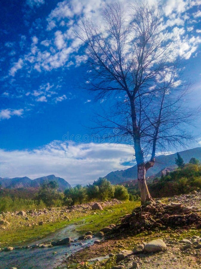 Naturel stock image. Image of nice, morocco, naturel - 106499705