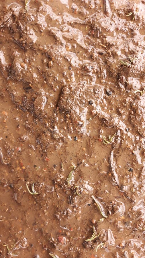 Mud texture stock image. Image of ground, texture, brown - 113064789