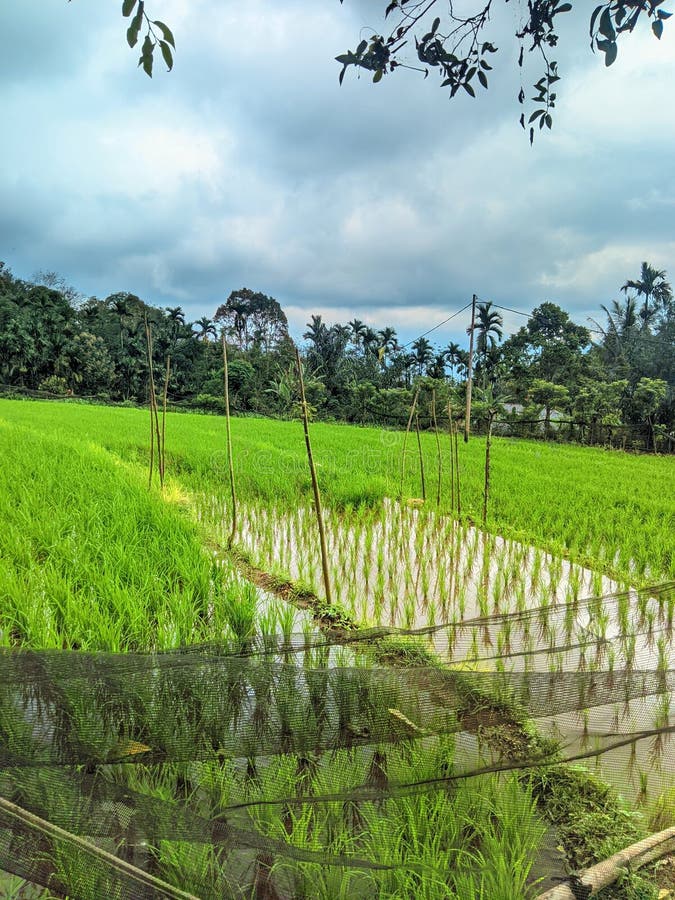 This is a Picture of Natural Scenery that is More Precisely in the ...