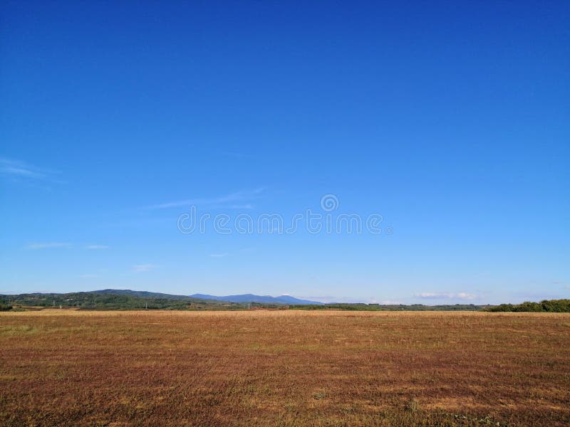 Nature in fall stock image. Image of side, family, fall - 169636049