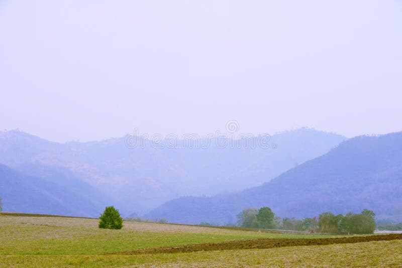 The Picture of Nature is Very Beautiful from Trees, Mountains and Vast ...