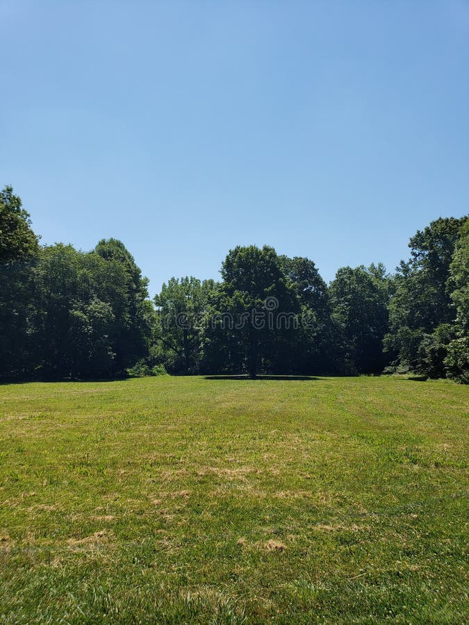 Beautiful field stock photo. Image of field, nice, peaceful - 122364996