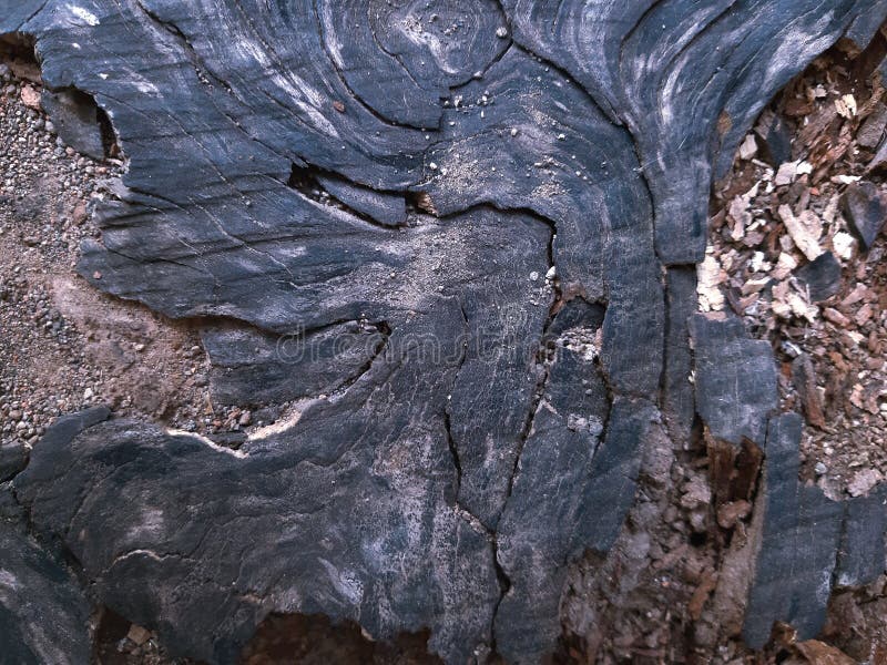 Picture of Old Wood Texture and Sand Around it Stock Photo - Image of ...