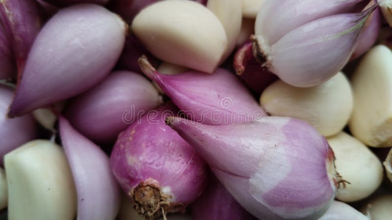 Picture of Onion Peel Spice Ingredients for Stock Photo - Image of peel ...