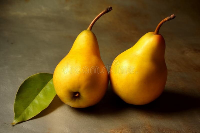 Two Ripe Yellow Pears with a Plump Appearance Stock Illustration ...