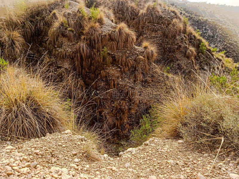 Reshot Stock Photos - Free & Royalty-Free Stock Photos from Dreamstime