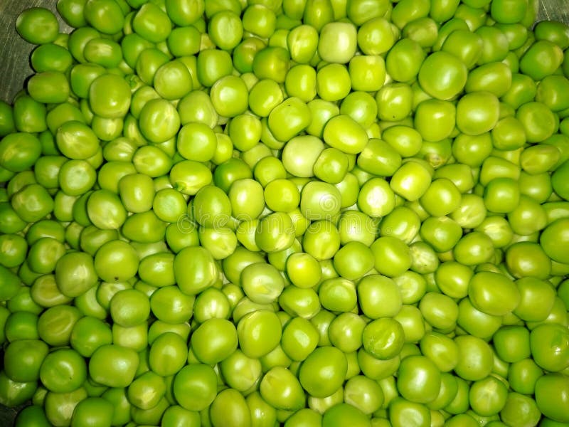 A picture of peas , stock photo. Image of crop, peas - 148394076