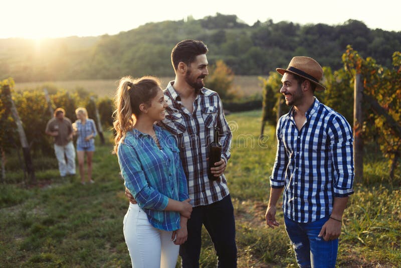 Picture of People Tasting Red Wine in Vineyard Stock Image - Image of ...