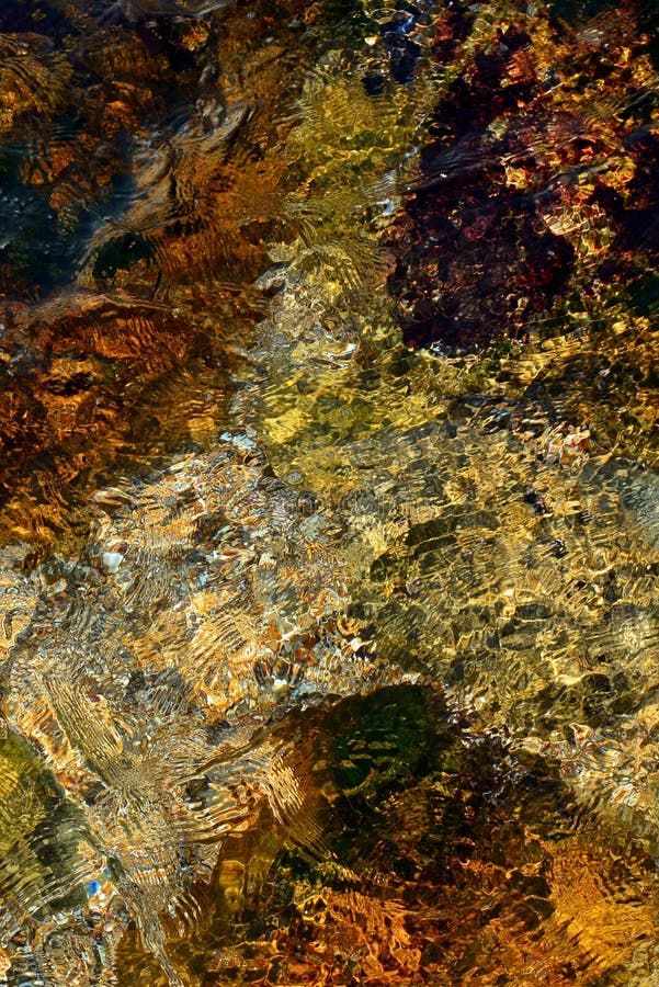 The Distortion of Light Due To the Phenomena of Reflection and ...