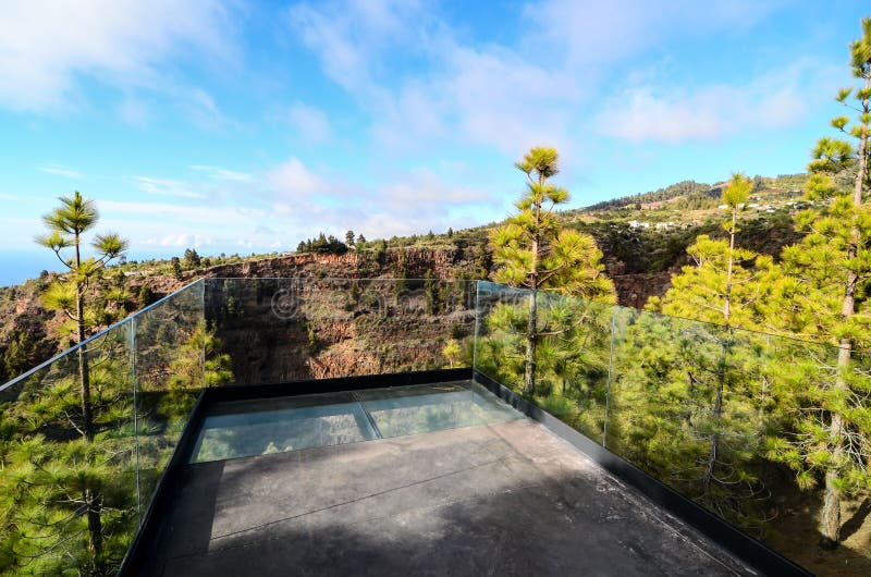 Pine Tree View stock photo. Image of texture, green - 159485160