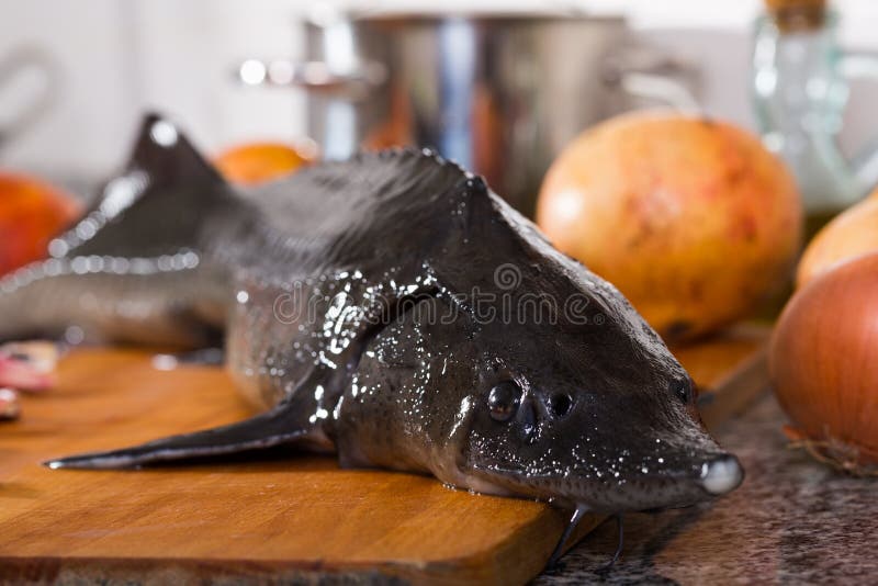 Picture of Raw Fish Sturgeon at Plate before Preparing Stock Image ...