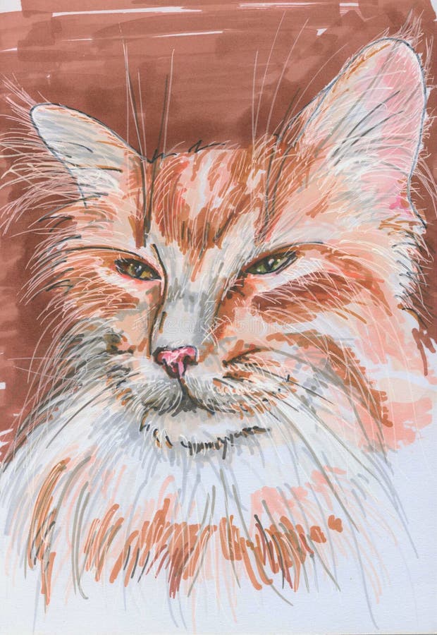 Picture of red cat stock illustration. Illustration of markers - 160093022