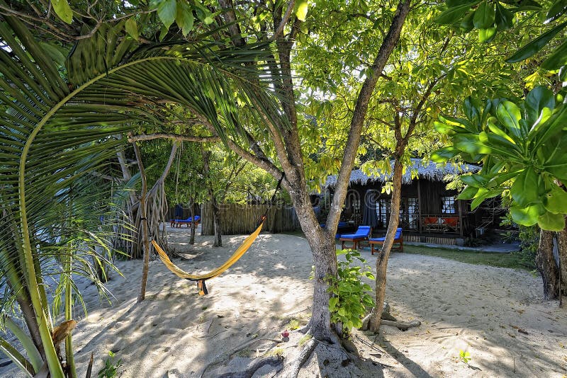 A Picture of Relaxing Place Stock Image - Image of palms, peaceful ...