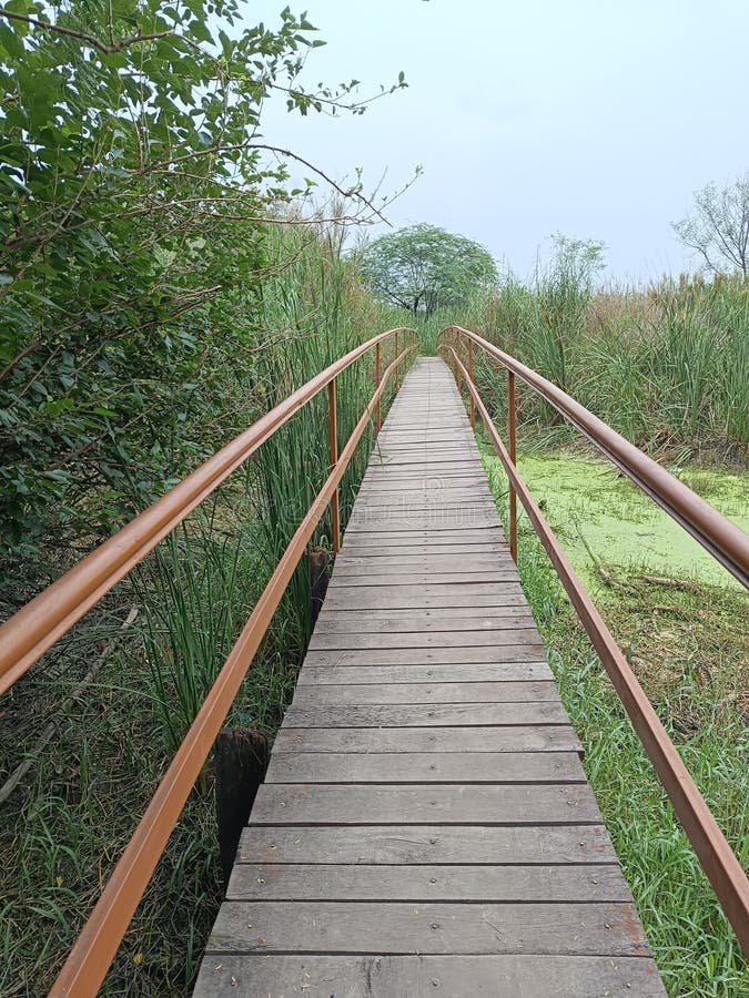 A Picture of River Foot Bridge Stock Photo - Image of footpath ...