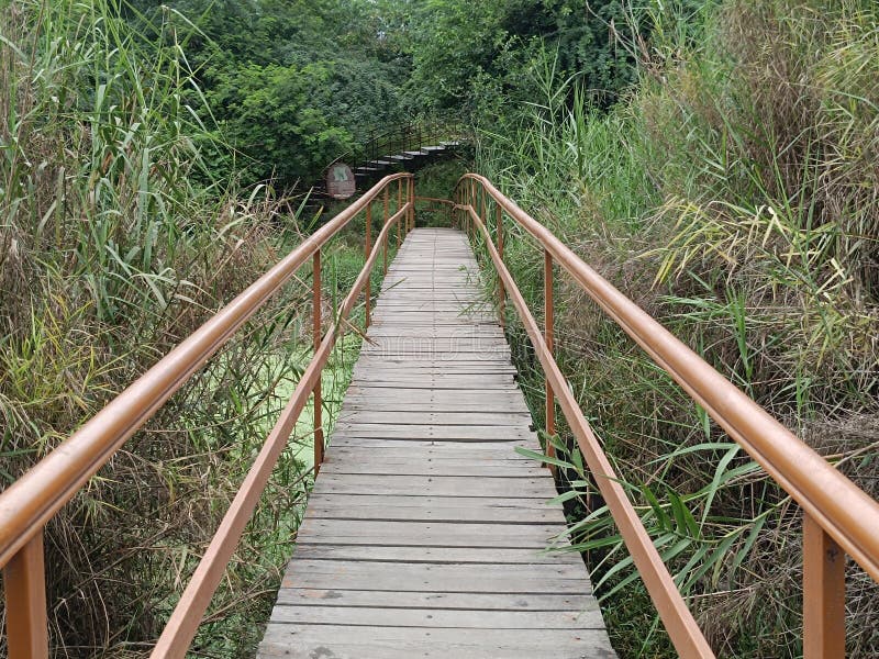 A Picture of River Foot Bridge Stock Image - Image of scenics, aerial: 331930159