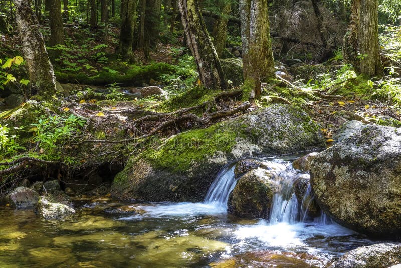 Rushing River Going through the Forest between Mountains in the Fall ...