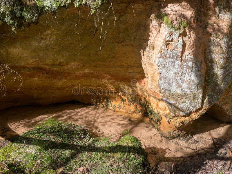 Picture with Sandstone Wall and Tree Roots Stock Photo - Image of rock ...