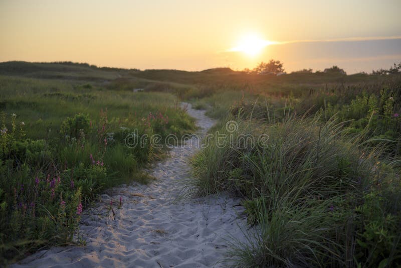Sandy Path on a Beach at Sunset Stock Photo - Image of landscape, water ...