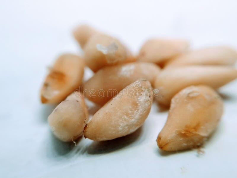 A picture of seeds , stock photo. Image of nutrient - 148394630