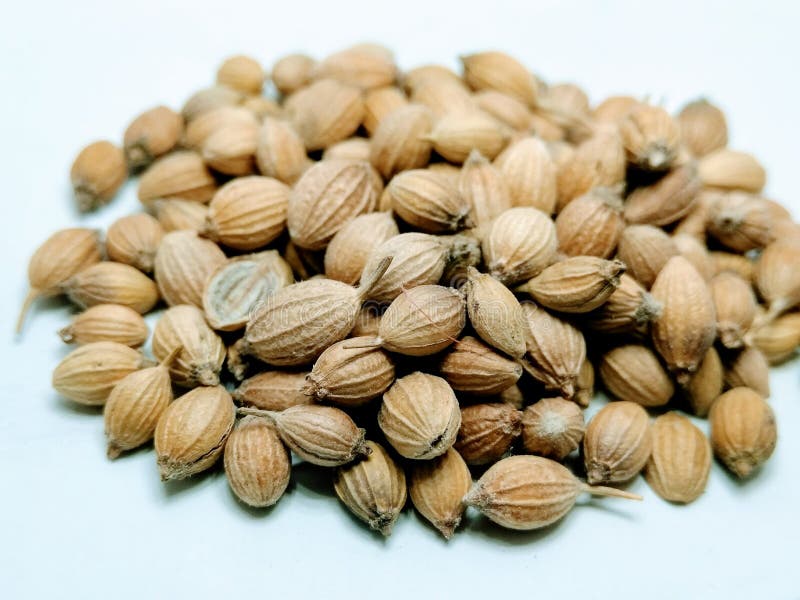 A picture of seeds , stock photo. Image of heap, macro - 148395458