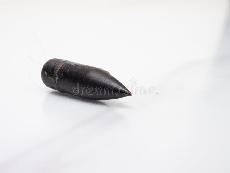 Picture of a Black Projectile Stock Image - Image of ammo, closeup ...