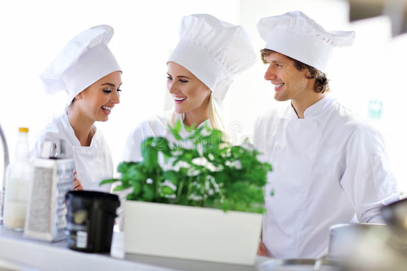 Busy Chefs at Work in the Restaurant Kitchen Stock Photo - Image of ...