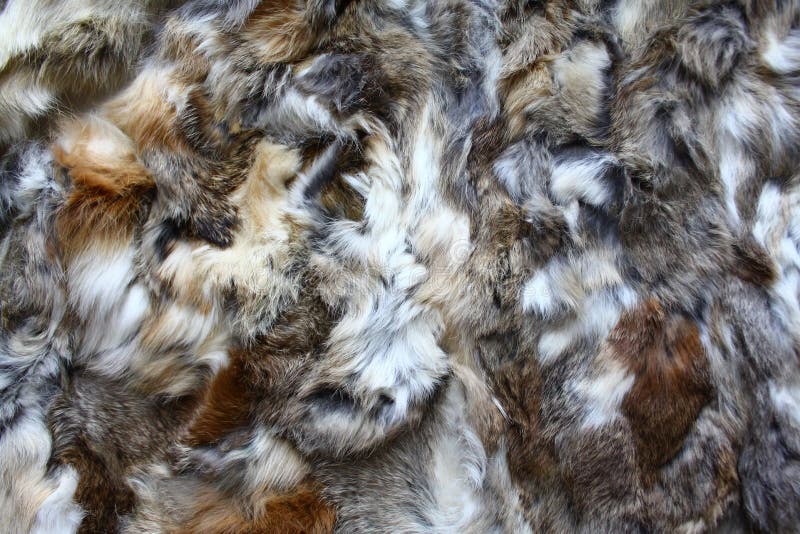 Soft rabbit fur stock image. Image of rabbits, hair - 143028723