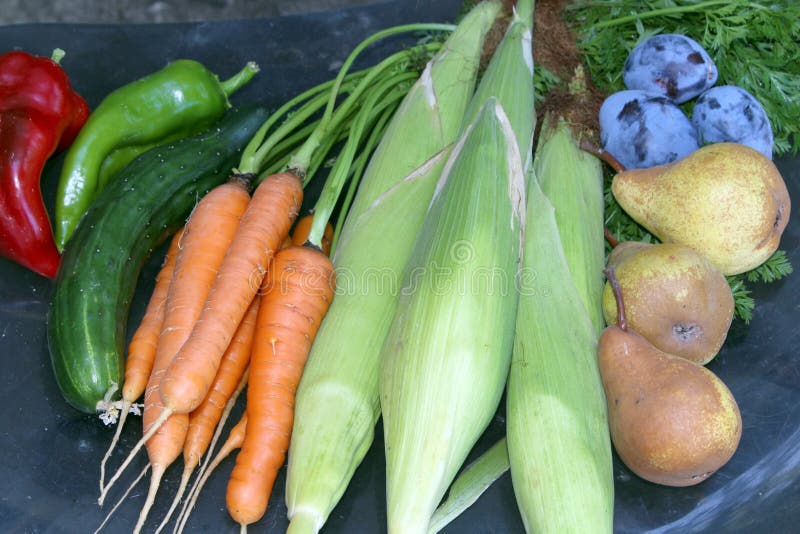 Vegetables grapes stock photo. Image of healthy, bacgrounds - 99564754