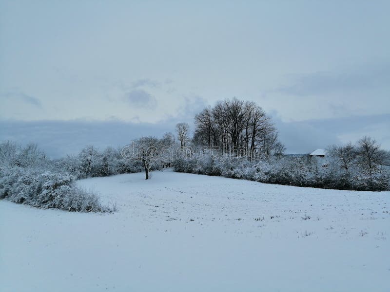 Snow day in winter stock photo. Image of morning, mist - 208664024